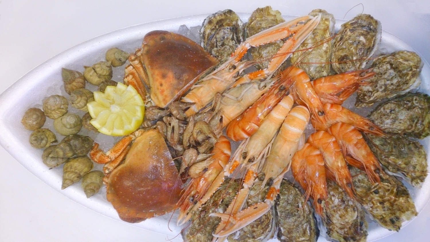 Plateau de fruits de mer - Crustacé - La Richesse des Mers